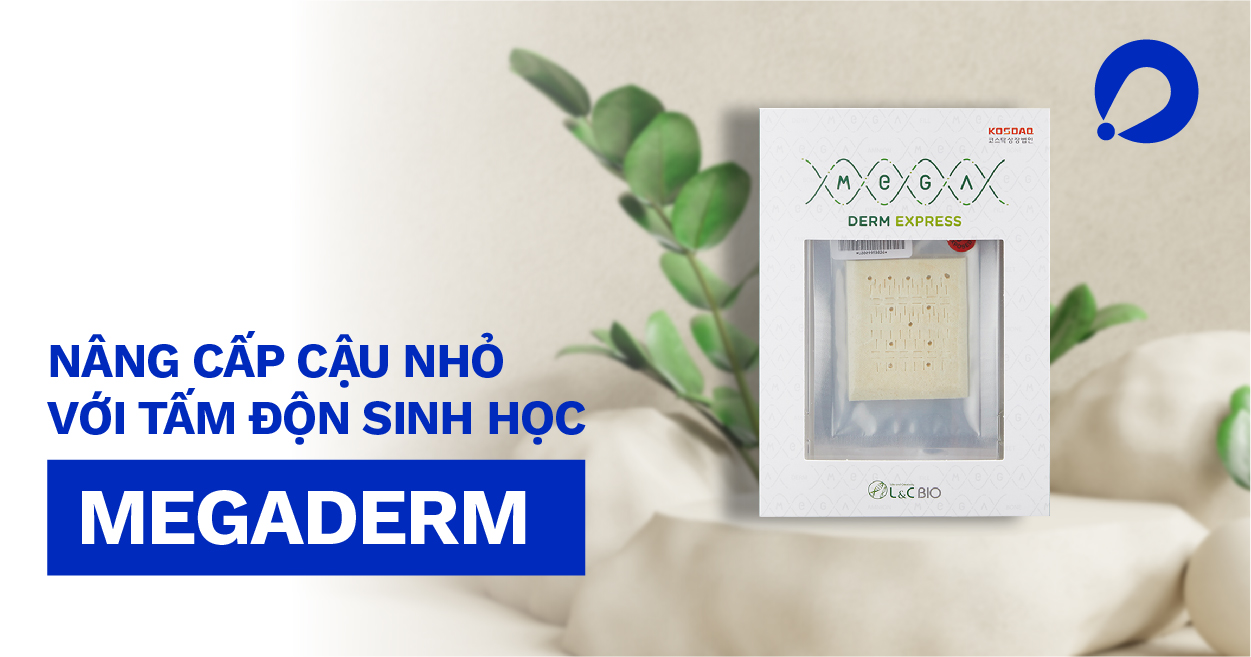 Tấm độn sinh học megaderm - Dr Megadom